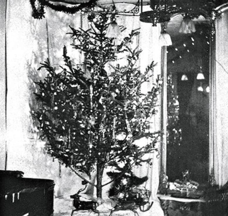 The Roundup: Electric Christmas tree lights unveiling anniversary news ...