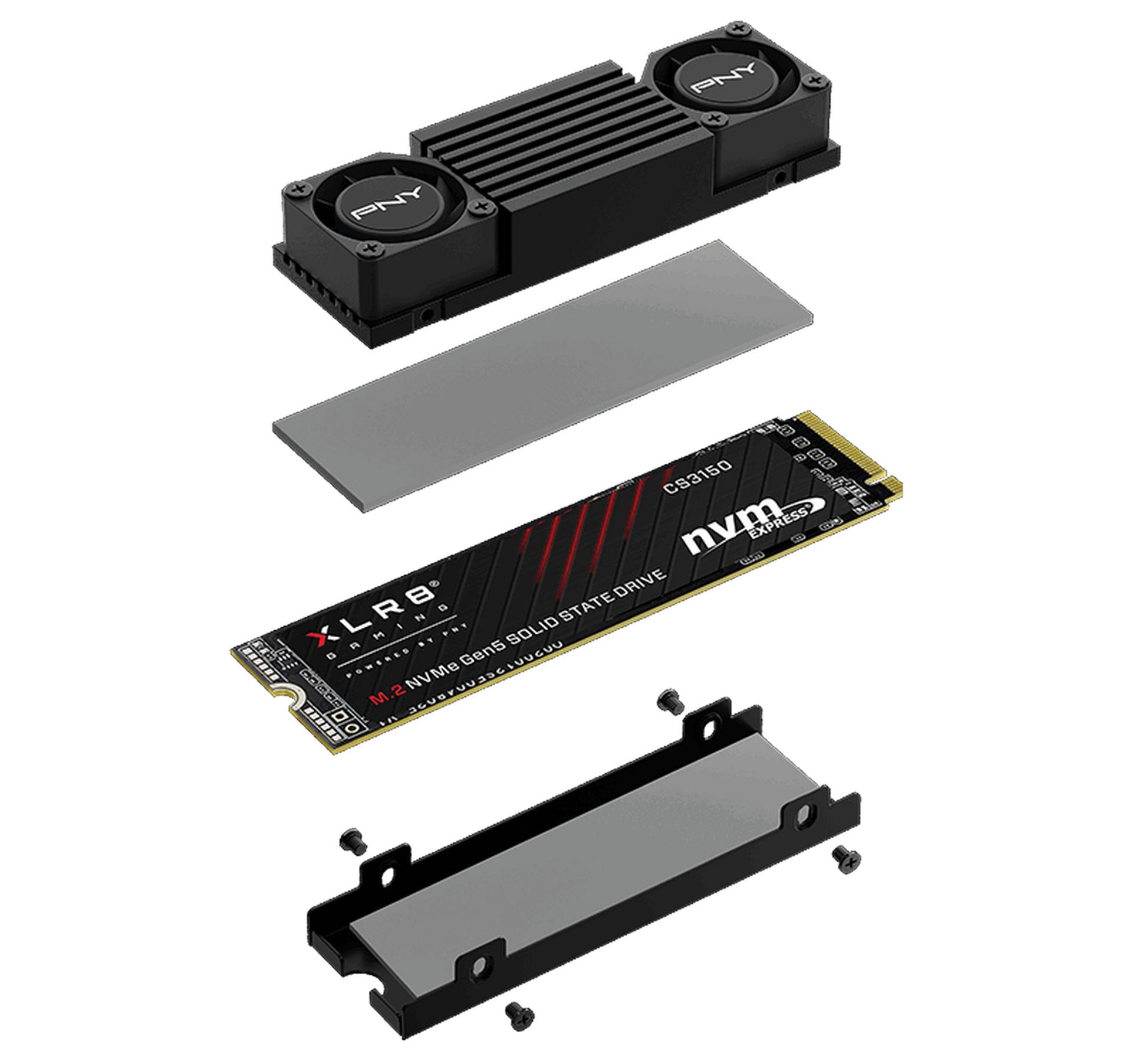 PNY CS3150 PCIe Gen 5 SSD brings controllable RGB | Club386