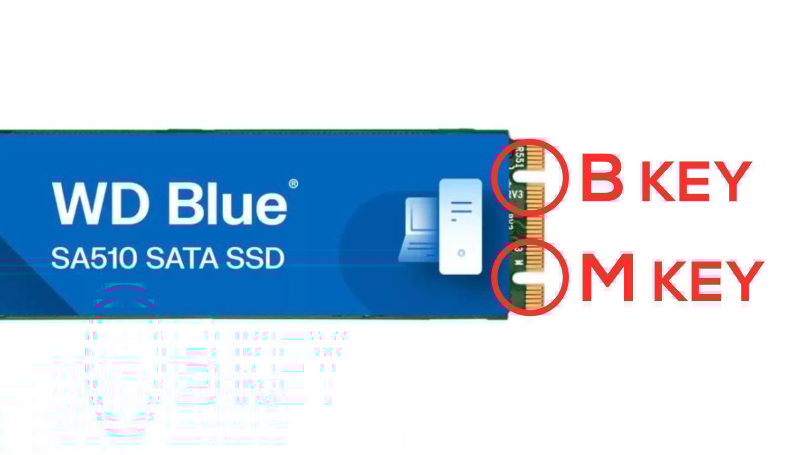 How to install an M.2 SSD | Club386