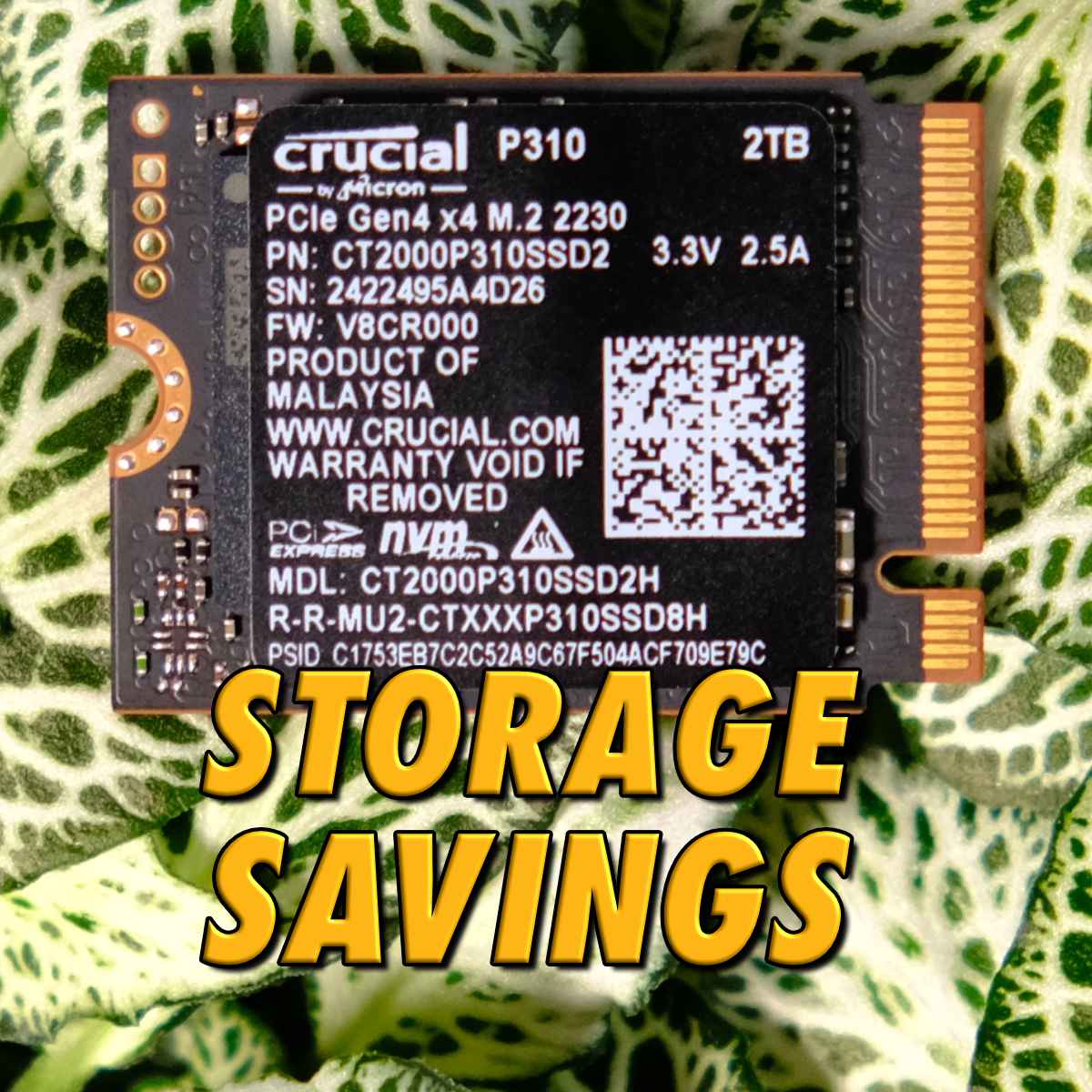 Brill Crucial P310 deals offer a stunning Steam Deck SSD upgrade