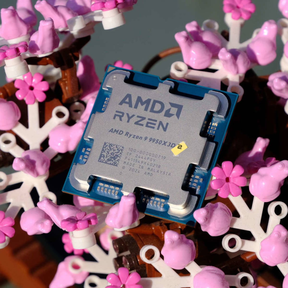 AMD Ryzen 9 9950X3D2 leaked benchmarks show performance, max frequency ...